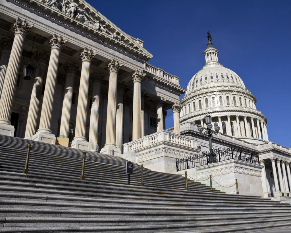 Understanding the Congressional Review Act - Article I